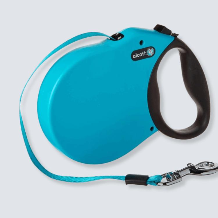 Dog Leashes, Collars & Harnesses: Essential Gear for Dogs – Rowdy ...